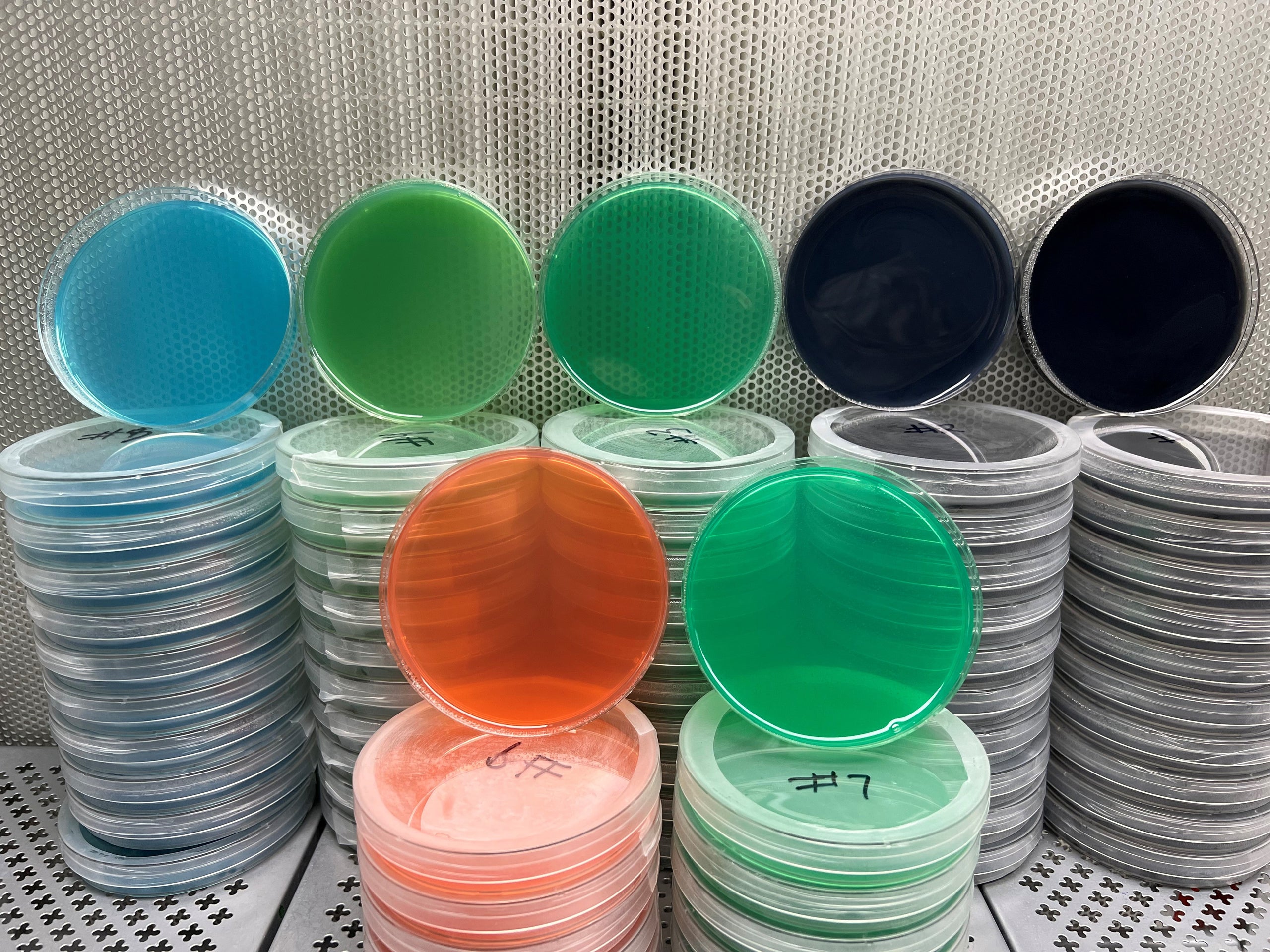 CHOOSE YOUR OWN AGAR-VENTURE Potato Dextrose Agar PDA(Pre-poured 90mm x ... CHOOSE YOUR OWN AGAR-VENTURE Potato Dextrose Agar PDA(Pre-poured 90mm x ...